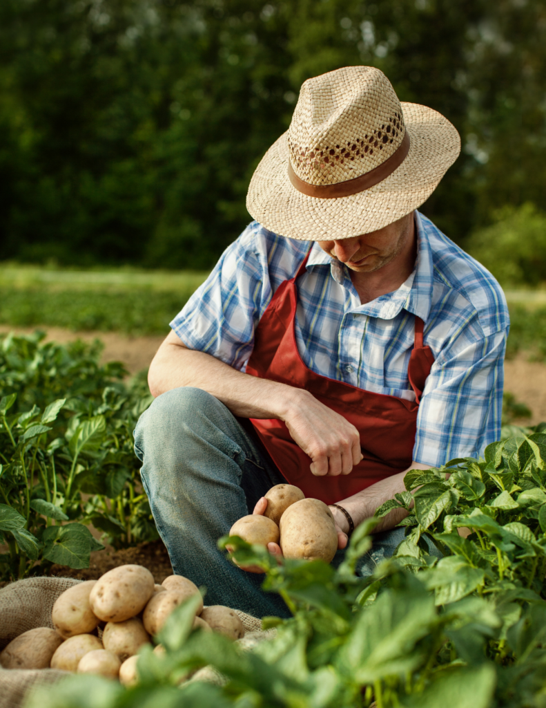 FARM LABOR CONTRACTING – Personna Employment Solutions